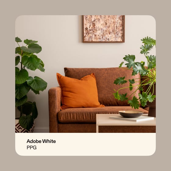 Top Trends of 2024: Paint Colors and Home Styles